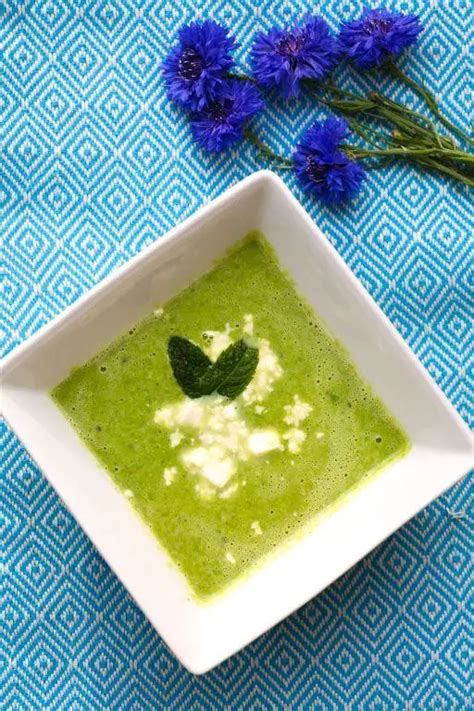 23 Delicious Shredded Chicken Soup Recipes Healthy Pan Mastery