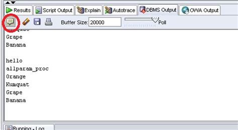 Oracle Sqlplus Command Skipped Set Serveroutput On Stack Overflow