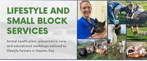 Lifestyle Block Services Vet Services Hawkes Bay