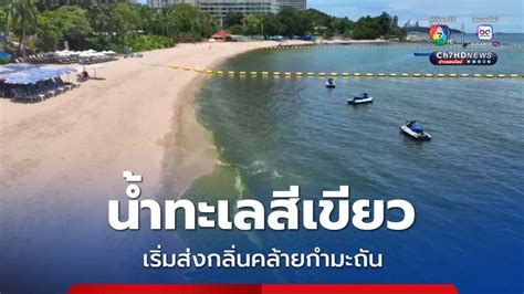 ข่าวน้ำทะเลสีเขียว เริ่มส่งกลิ่นคล้ายกำมะถัน