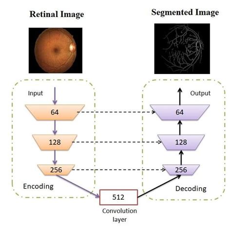 Three Layer U Net Architecture Model 1 Download Scientific Diagram
