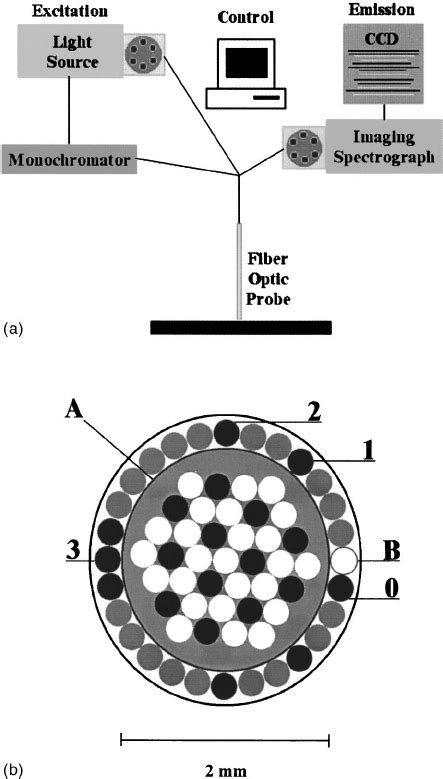 A System Block Diagram Showing The Light Source Assembly A Fiber