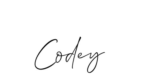 81 Codey Name Signature Style Ideas Free Esign