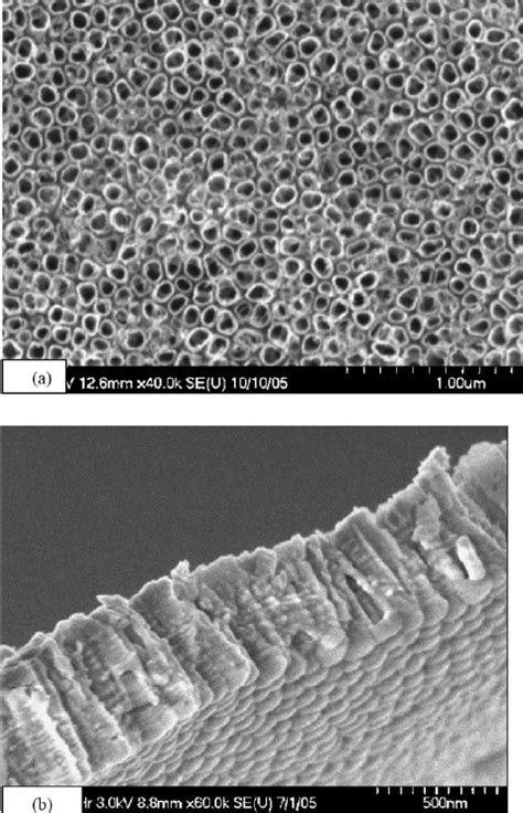 Morphology Of Vertically Oriented Arrays Of Anodized Titanium Oxide Download Scientific Diagram