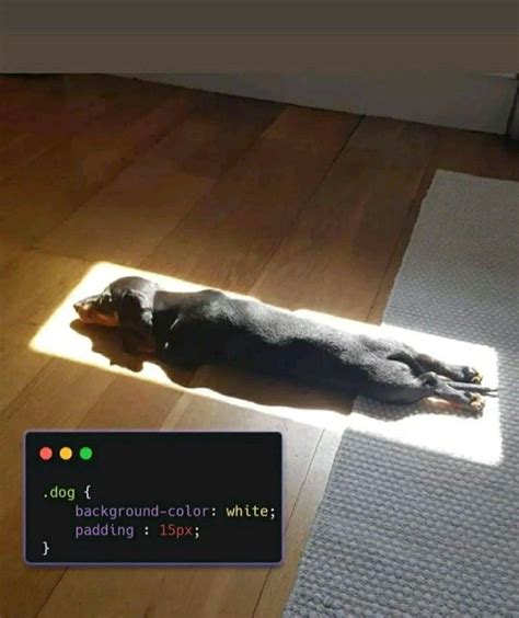 Status Webdeveloper Frontendwebdeveloper Backenddeveloper Programming Program