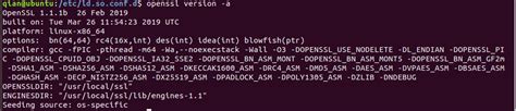 ubuntu18 04 安装新版本openssl ubuntu openssl安装 csdn博客