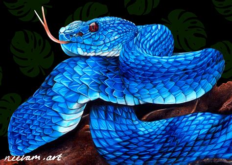 Artstation Blue Snake