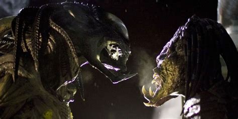 Future Alien Vs Predator Movies With Prey And Romulus Characters