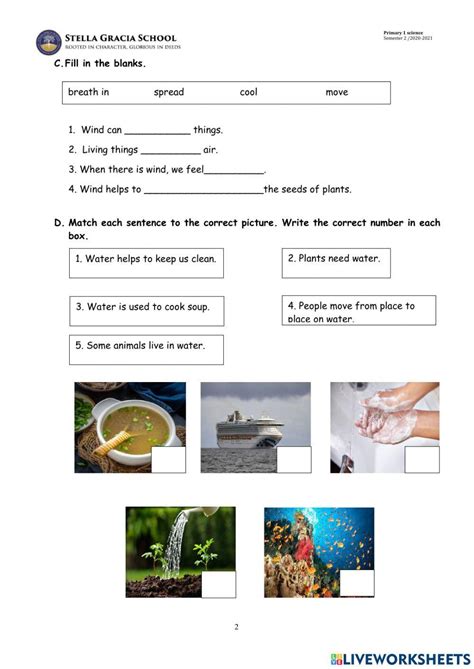 934179 Primary 1 Science David Umbu Kadubu Gawu