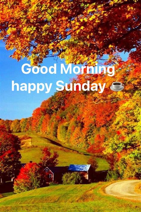 Good Morning Happy Sunday 🌞☕️ Autumn Greeting Card Ideas Autumn