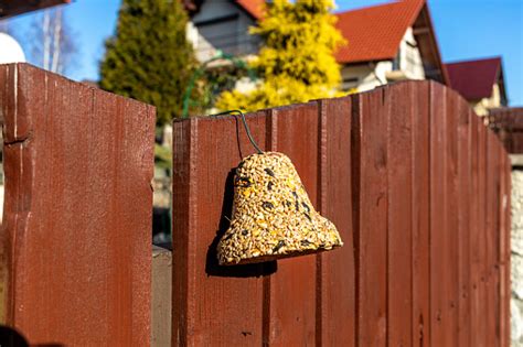 Bel Dari Berbagai Bijibijian Kelezatan Untuk Semua Burung Di Kebun Foto Stok Unduh Gambar