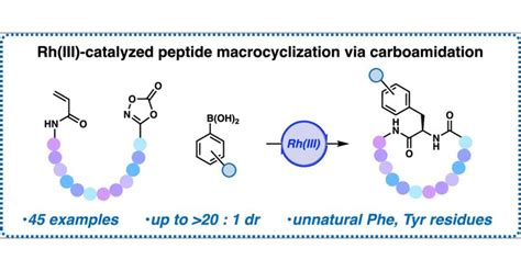 Kirill Kulish On Linkedin Crafting Unnatural Peptide Macrocycles Via Rh Iii Catalyzed