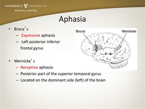 Ppt Diagnosis And Management Of Acute Stroke Powerpoint Presentation