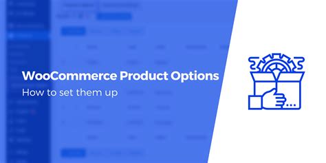 when to use a plugin for woocommerce product options