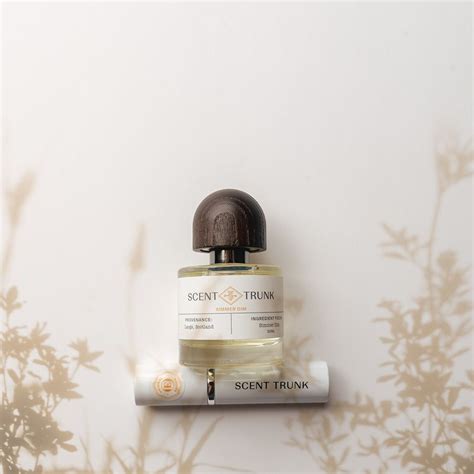 Simmer Dim Scent Trunk аромат — аромат для мужчин и женщин