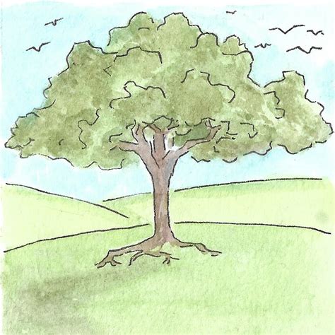 Mustard Seed Tree Drawing