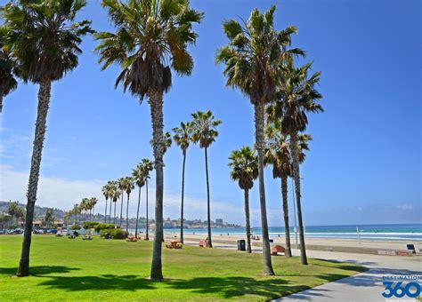 La Jolla Beaches Explore The Most Beautiful Beaches In California