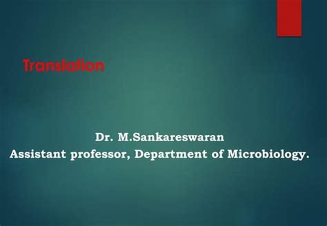 Protein Synthesistranslation Pptx Programming Languages Computing