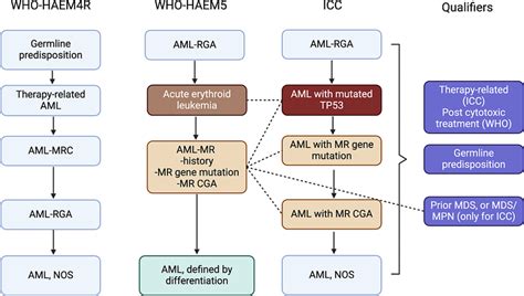 Algorithmic Updates Of Aml Classification Aml Rga Aml With Recurrent