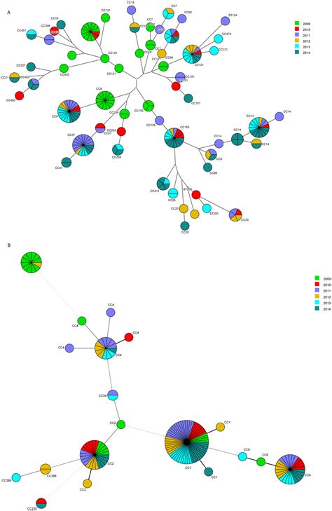 minimal spanning tree of 7 gene mlst of l monocytogenes isolates of