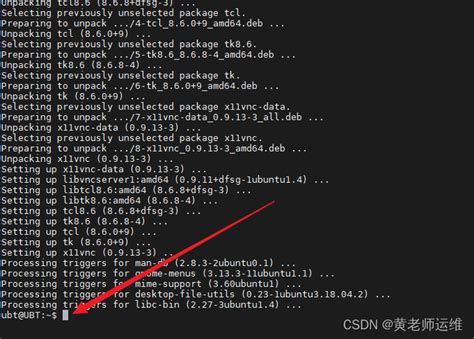 Ubuntu系统安装与配置vnc Server实现远程桌面连接 阿风小子 博客园