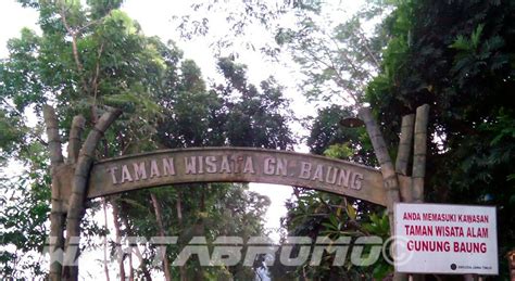 Wisata Coban Baung Jadi Pilihan Lokasi Pacaran Wartabromo