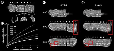 Assessment Of The Graph Based Sequential Alignment A A Sagittal