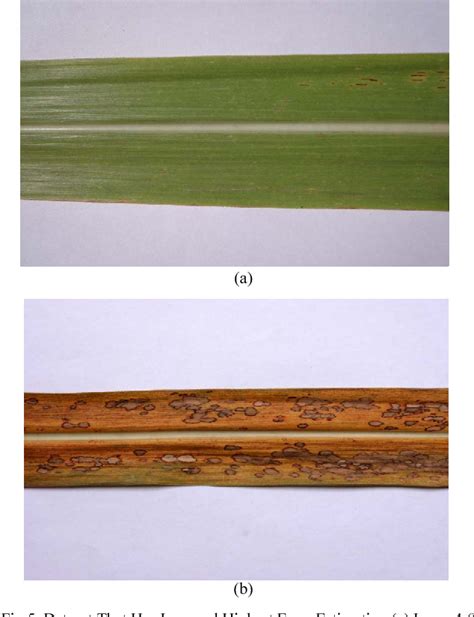 Figure 1 From Sugarcane Leaf Disease Detection And Severity Estimation Based On Segmented Spots
