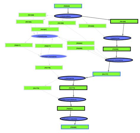 3 This Figure Shows The Guide Graph Of The Methionine Biosynthesis Download Scientific Diagram