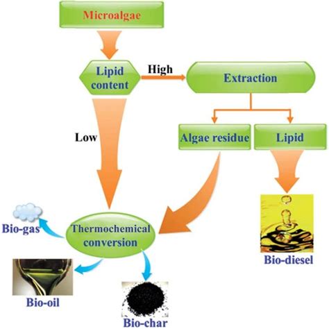 Experimental Procedure Of Htl For Microalgae In Closed Batch Reactor Download Scientific