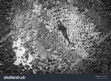 Man On Treasure Hunt Metal Detector Stock Photo 1709700424 Shutterstock