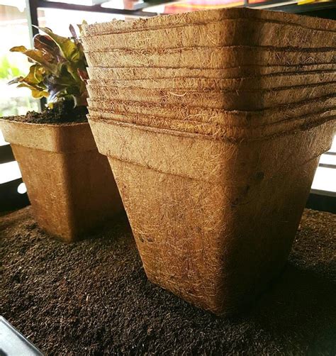 Natural Fiber Biodegradable Flower Pot Biodegradable And Compostable Pots