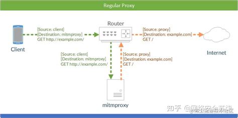 使用 Mitmdump 与 Python 脚本进行密码嗅探 知乎