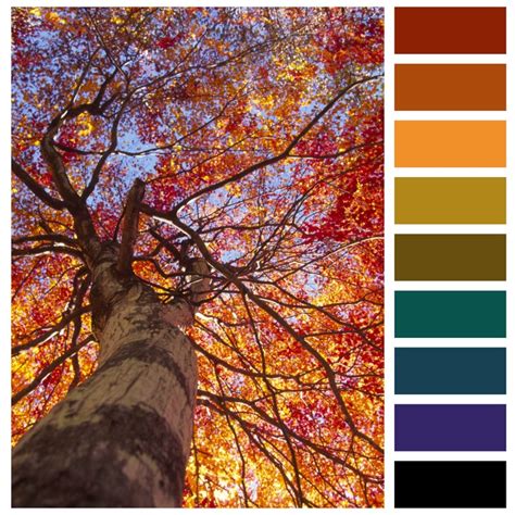 Fall Festival Procreate Color Palette Autumn Colors Hex Etsy