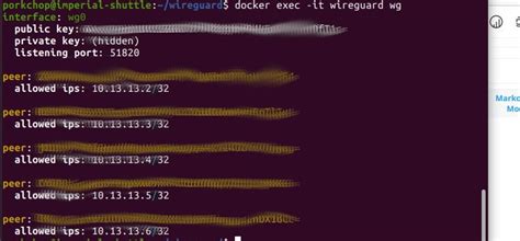 Help With Docker Wireguard Homelab