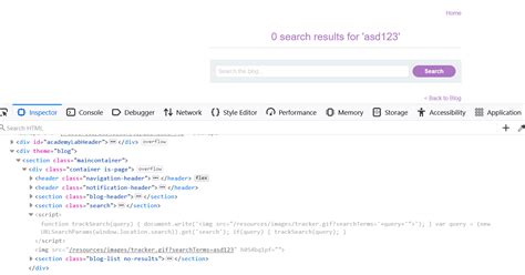 Dom Xss In Documentwrite Sink Using Source Arch