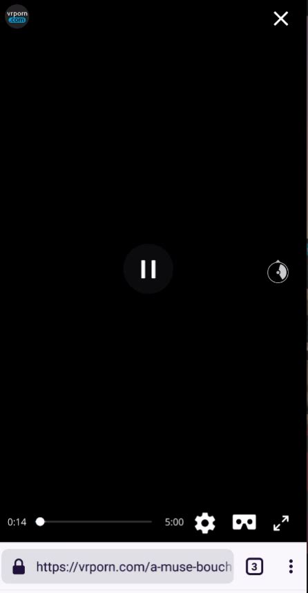 Vrporn Com Video Doesn T Play Issue Webcompat Web Bugs GitHub