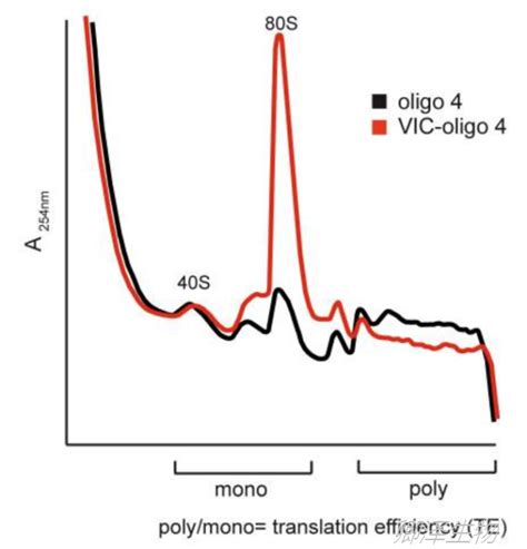 Polysome Profiling技术中翻译效率（te）的不同表征方法 公司新闻 广州卿泽生物科技有限公司