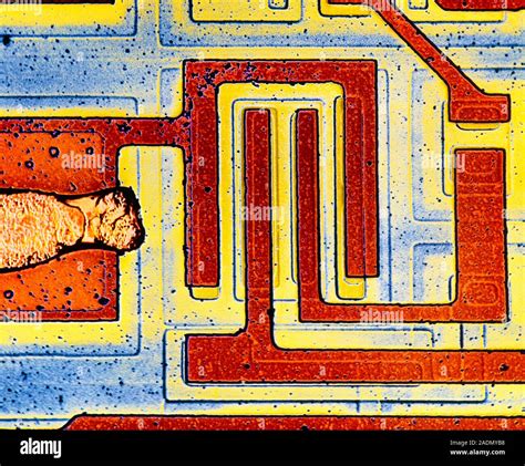 False Colour Scanning Electron Micrograph Of The Surface Of A 7401 Ttl Integrated Circuit