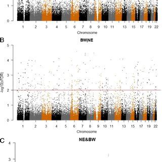 Manhattan Plot Conditional Log10 FDR Values For Neuroticism Given BW