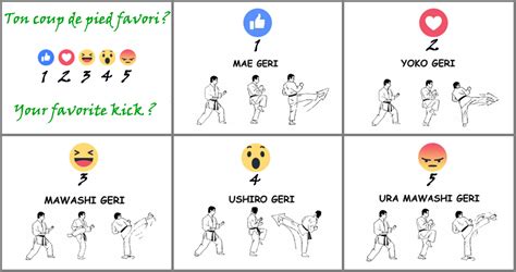 Les Coups De Pieds De Base Du Karat Karate Club Colombes