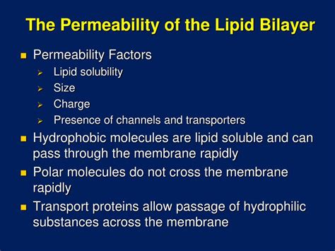 Ppt Cell Membrane Structure And Function Powerpoint Presentation Id436575