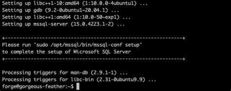 Host Laravel Application With Sql Server Database On Digital Ocean Via Forge 5 Balloons