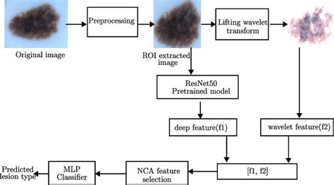 Block Diagram Of The Proposed Model For Skin Lesion Classification Download Scientific Diagram