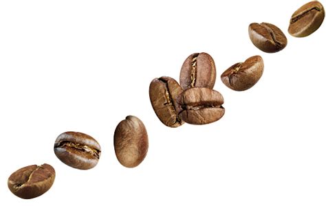 완벽하게 수정된 커피 콩 세트가 공간을 통해 날아갑니다 흰색으로 격리됩니다 고해상도 0명에 대한 스톡 사진 및 기타 이미지 0명 갈색 개체 그룹 Istock