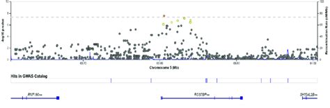 Locuszoom Plot For Region Surrounding Rs1848553 The Locuszoom Plot Locuszoom Plot For Region Surrounding Rs1848553 The Locuszoom Plot