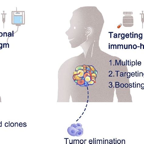 Origin And Pattern Of Tumor Immunological Heterogeneity Spatial