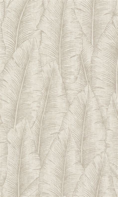 White Tropical Leaves Botanical Wallpaper R8729 Walls Republic Us