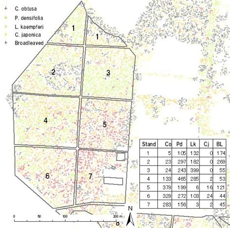 improving the precision of tree counting by combining tree detection