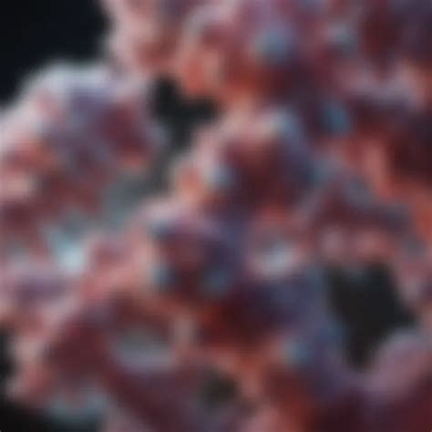 Structure Of Immunoglobulin A